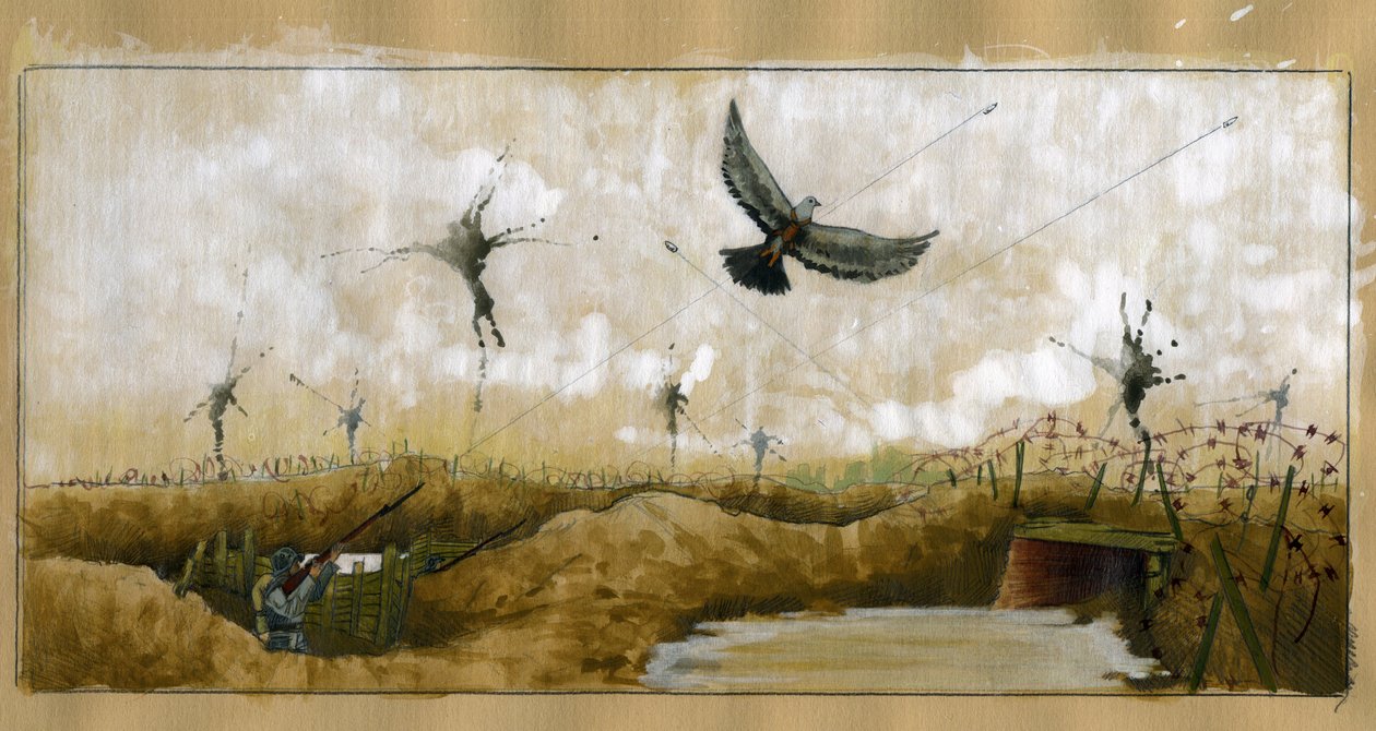 Eerste Wereldoorlog: een passagiersduif die een bericht draagt, wordt ...