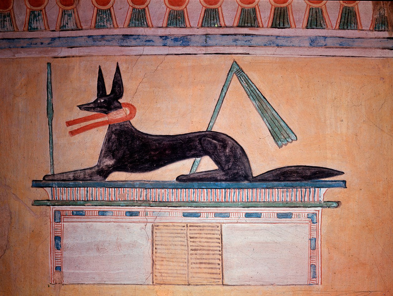 Anubis met jakhalzenkop, god van de mummificatie. Muur van het graf van ...