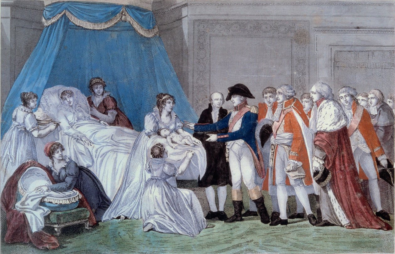 Napoleon Bonaparte Ouders Napoleon Bonaparte Canon Van Nederland