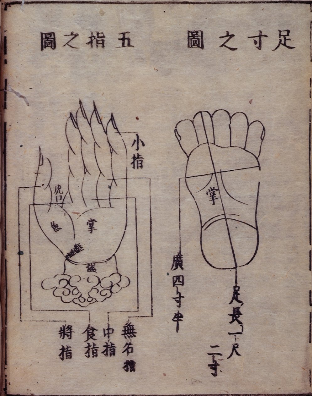 Diagram met acupunctuurpunten in de handen en voeten, uit een Japanse ...