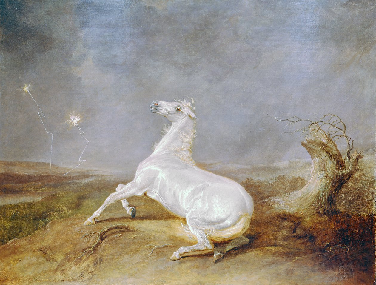 Tekening Van Een Gek Paard
