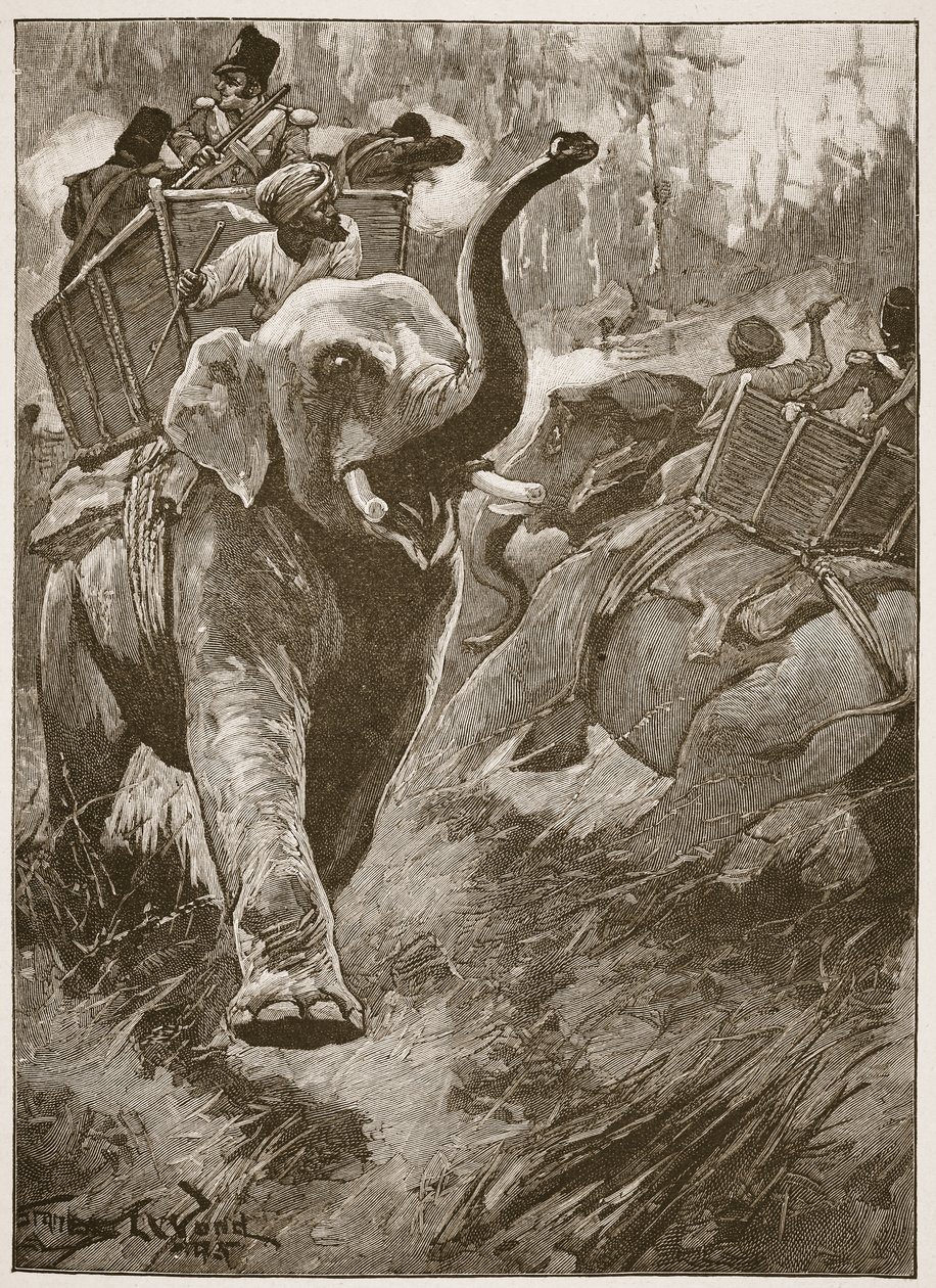 De geschrokken olifanten renden terug door het bos, illustratie uit ...