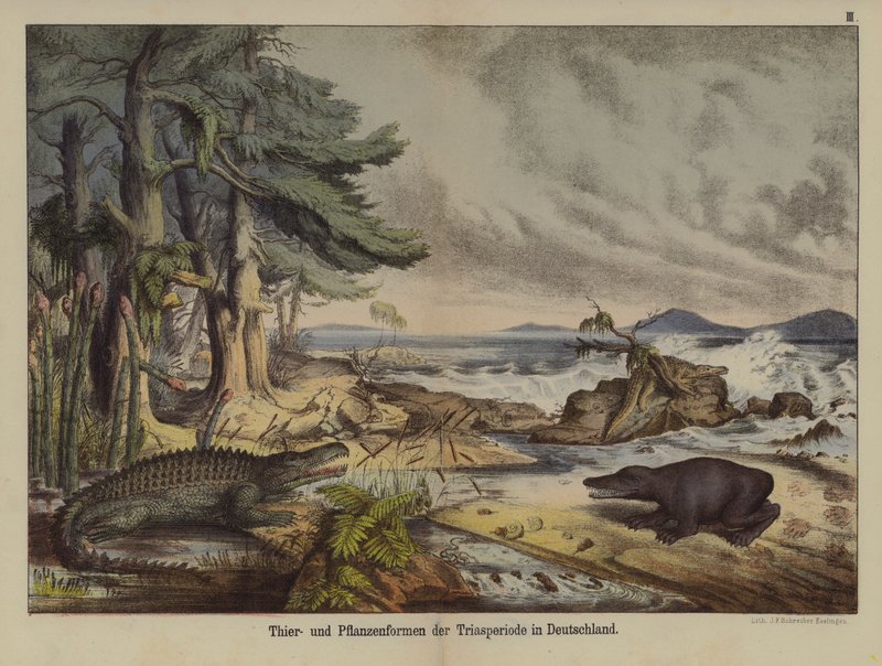 Planten Uit Het Trias